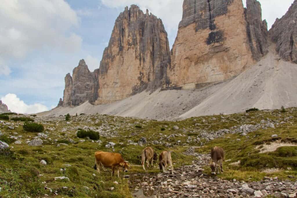 Tre Cime Di Lavaredo Hike: Step By Step Guide And Tips - Love Your Italy